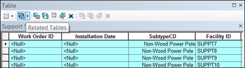 FAQ - ArcFM - Performing a Mass Update to Related Records