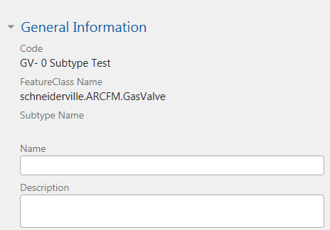 Solution - Designer - Subtype Name Details Not Shown in CU Admin Tool